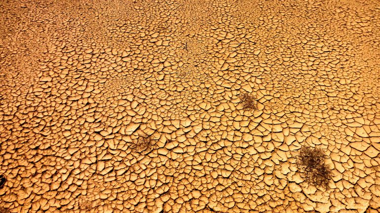 Climate Change in the MENA Region: Environmental Risks, Socioeconomic ...